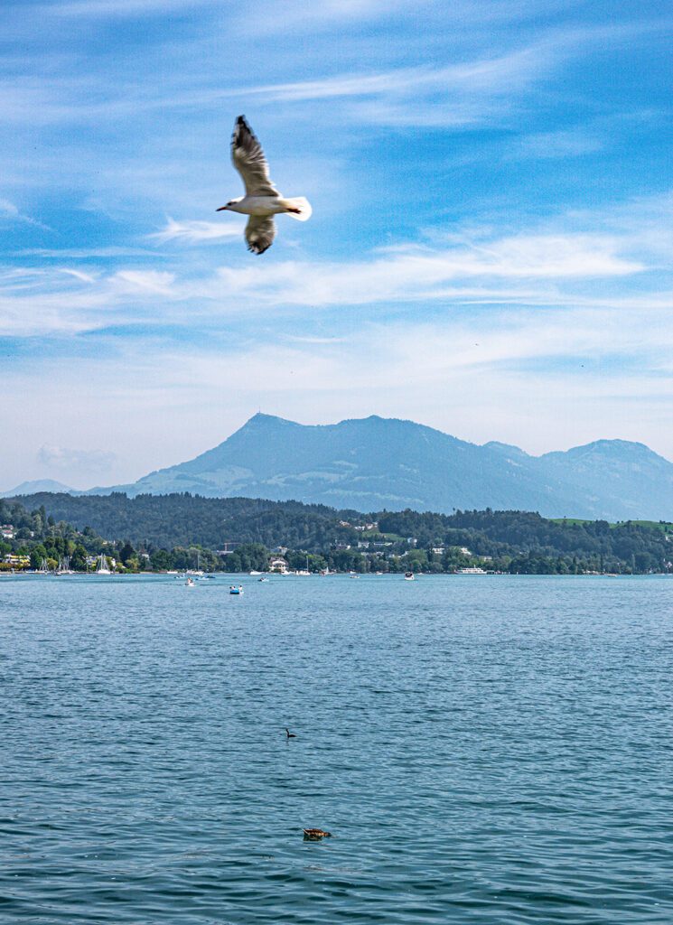 Lucerne, Switzerland: What To See And Do In 3 Days - The Dana Edition